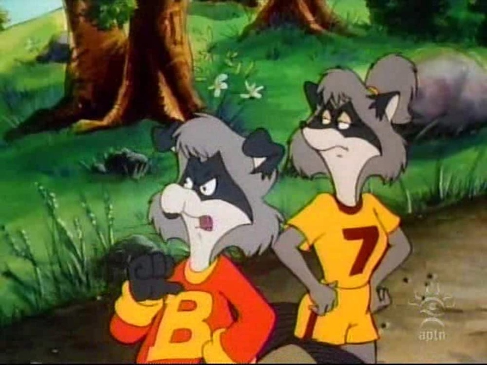 Picture of The Raccoons