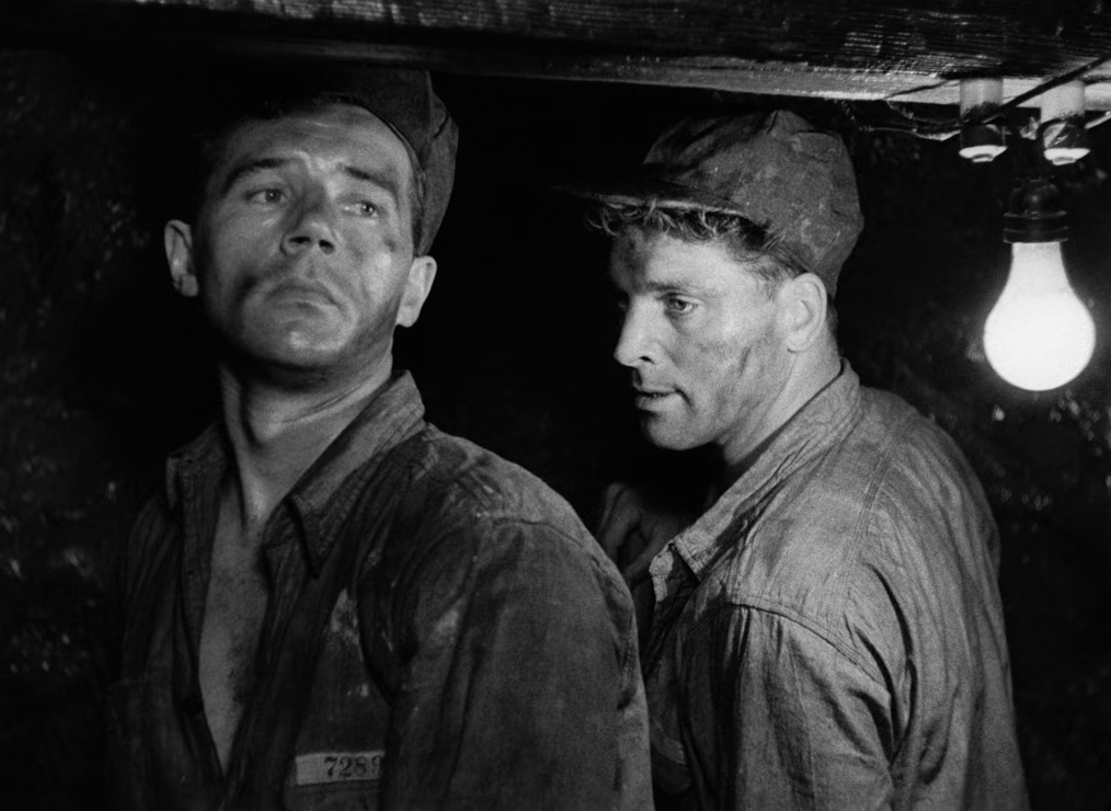 Picture of Brute Force