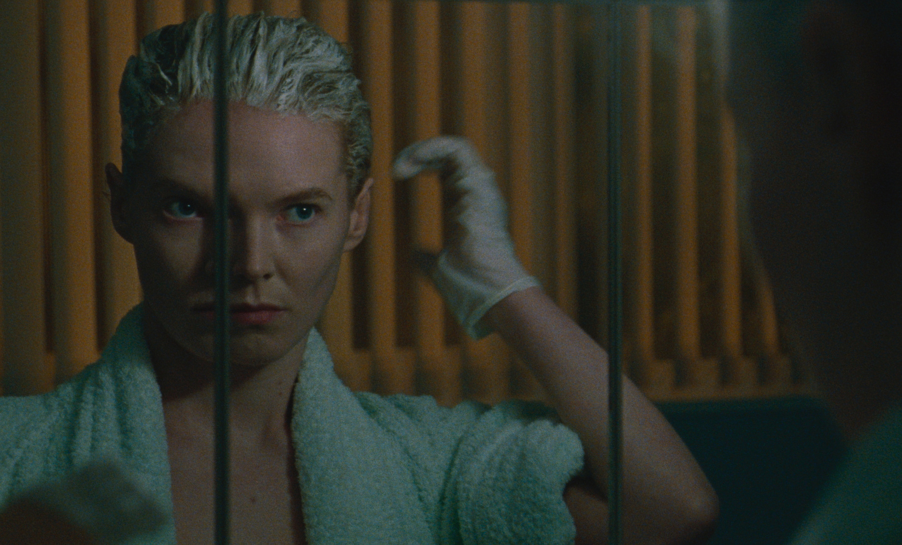 Picture of Blue Jean