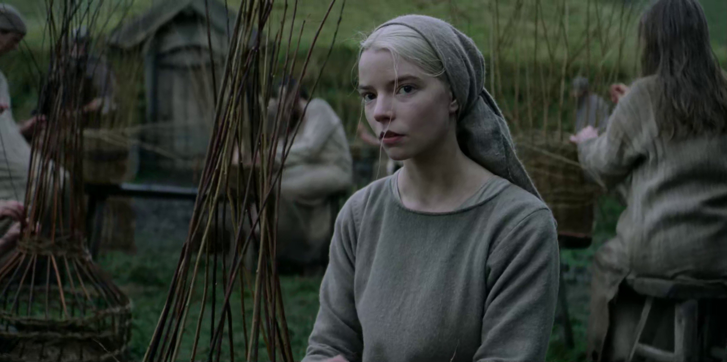 Picture of The Northman