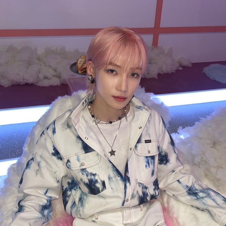 Picture of Choi Chan Hee