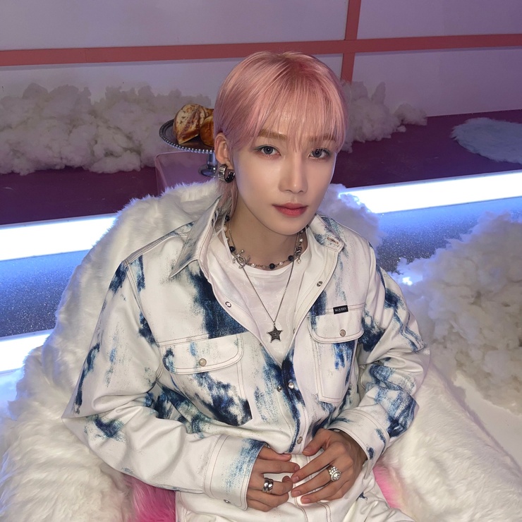 Picture of Choi Chan Hee