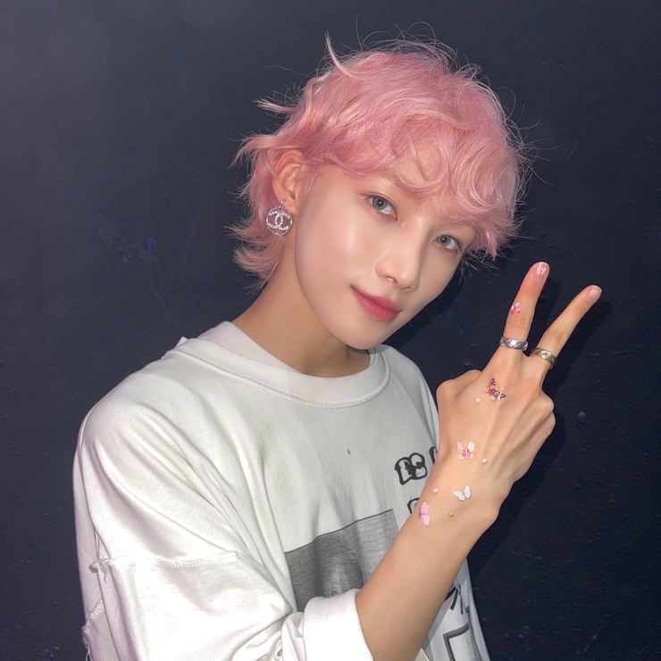 Picture of Choi Chan Hee