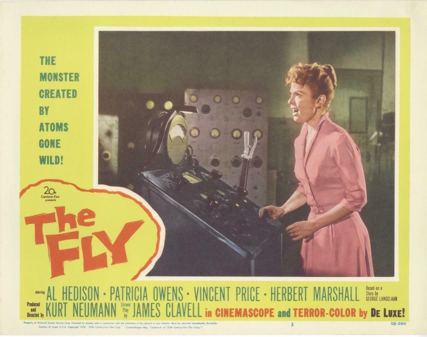 Picture of The Fly