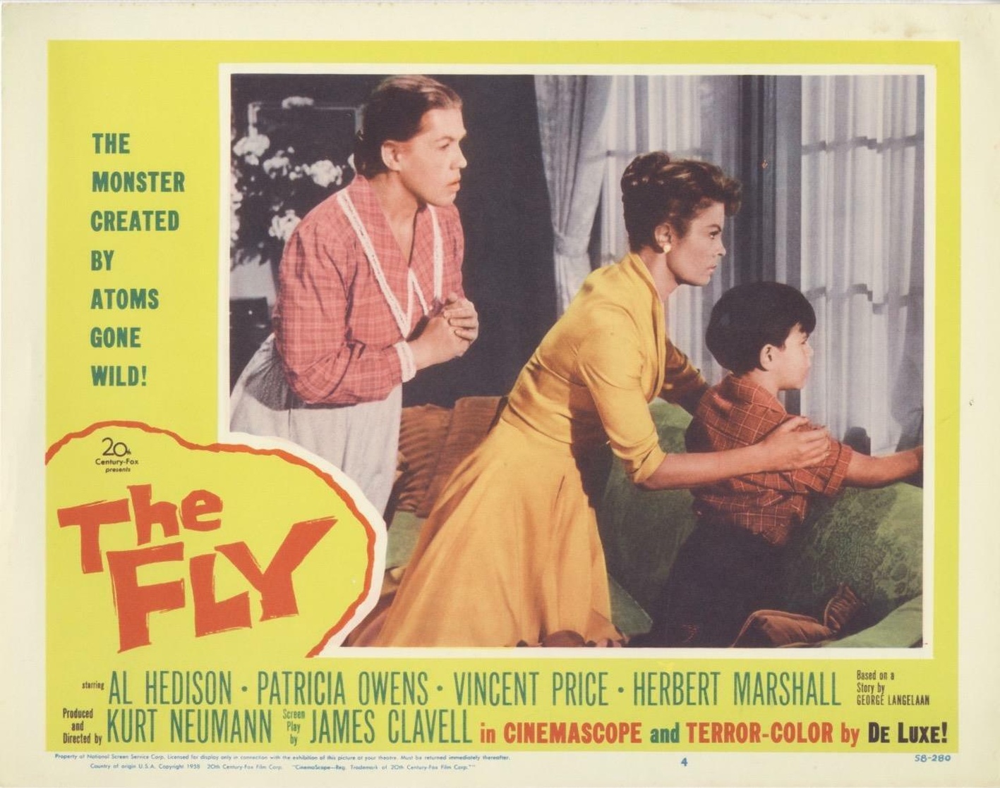 Picture of The Fly