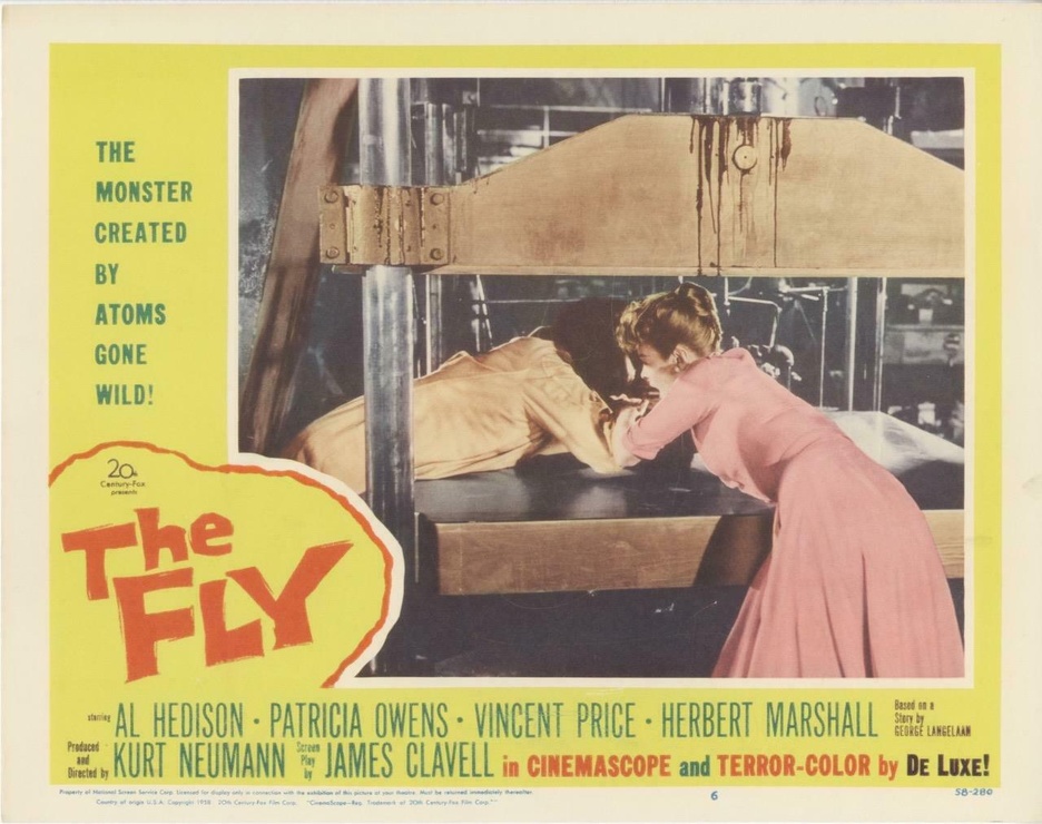 Picture of The Fly