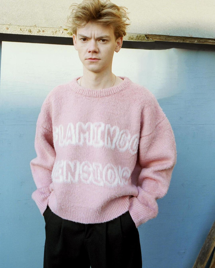 Picture of Thomas Brodie-Sangster
