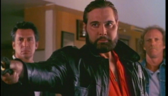 Picture of Samurai Cop