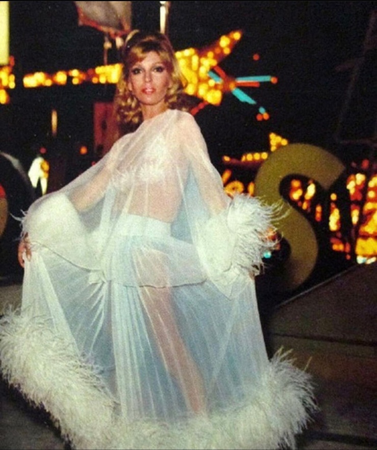 Picture of Nancy Sinatra