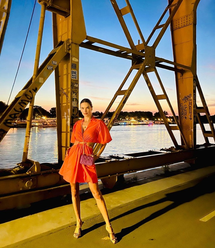 Picture of Alessandra Ambrosio