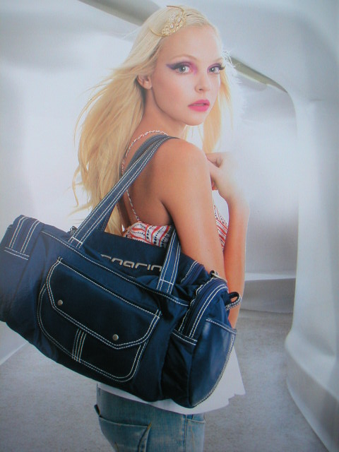 Britni Stanwood image