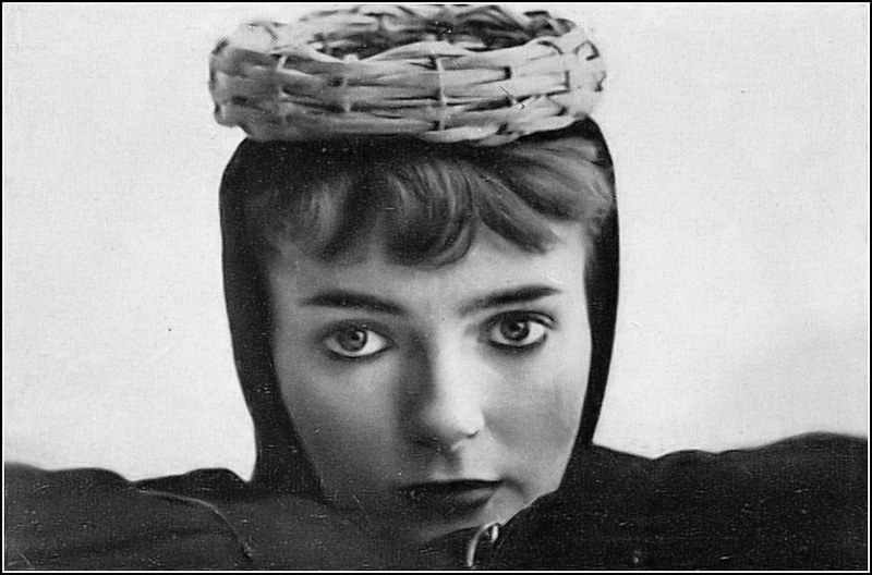 Picture of Doe Avedon