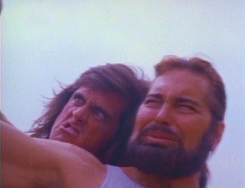 Picture of Samurai Cop