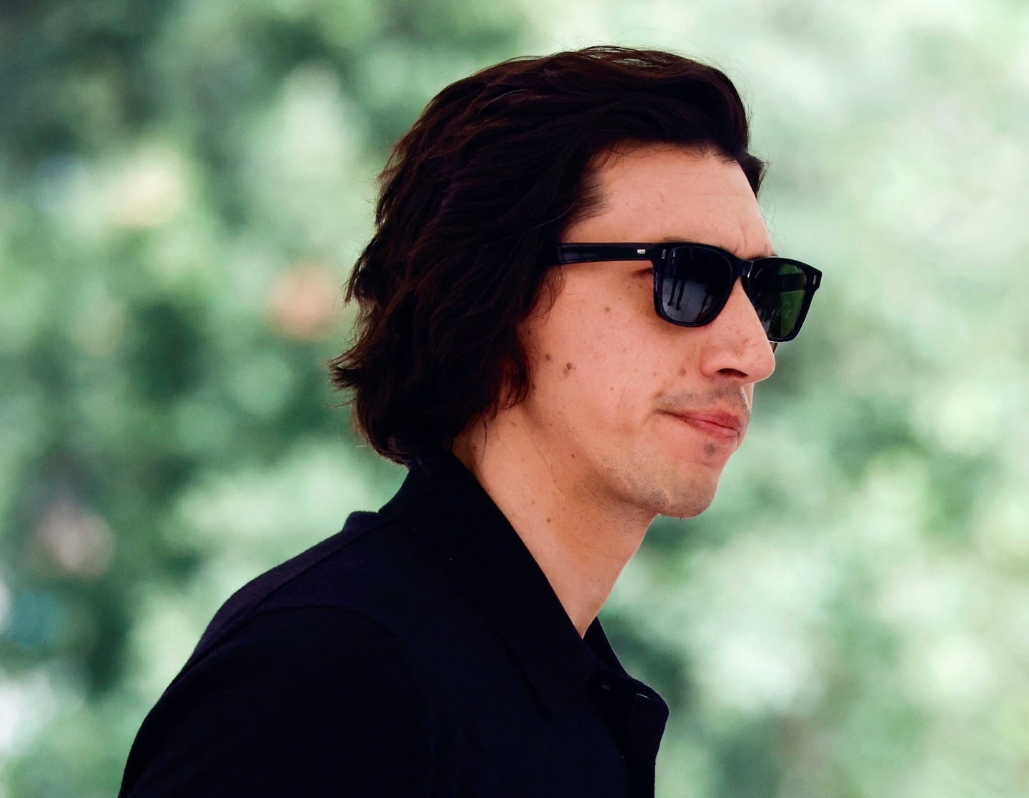 Adam Driver picture