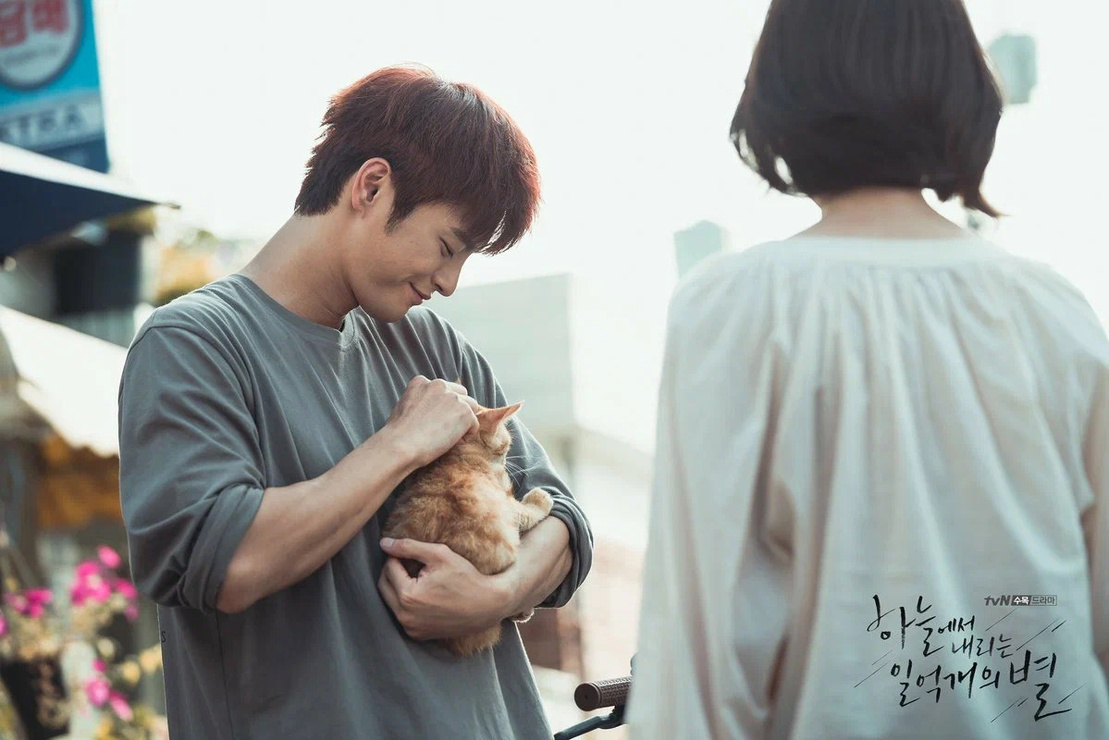 Picture of The Smile Has Left Your Eyes