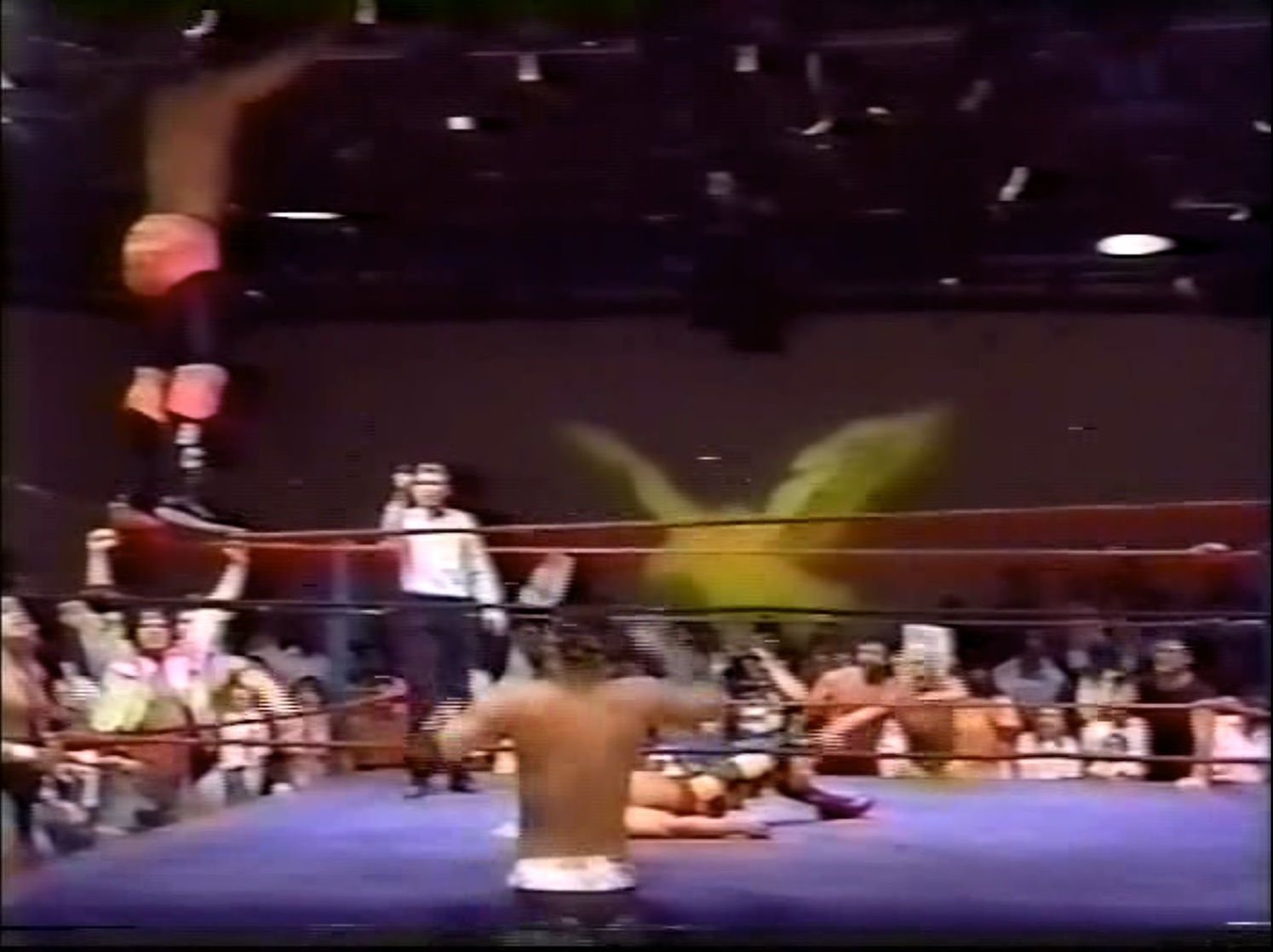 Picture of Brian Christopher vs. Jeff Jarrett (1993/05/01)