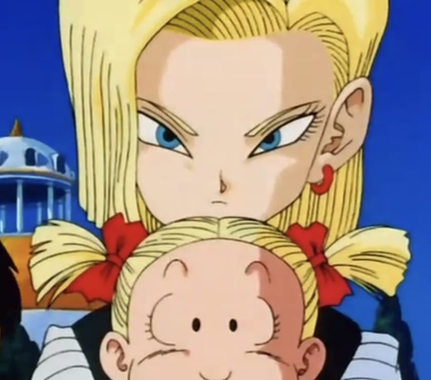 Image Of Android 18 7096
