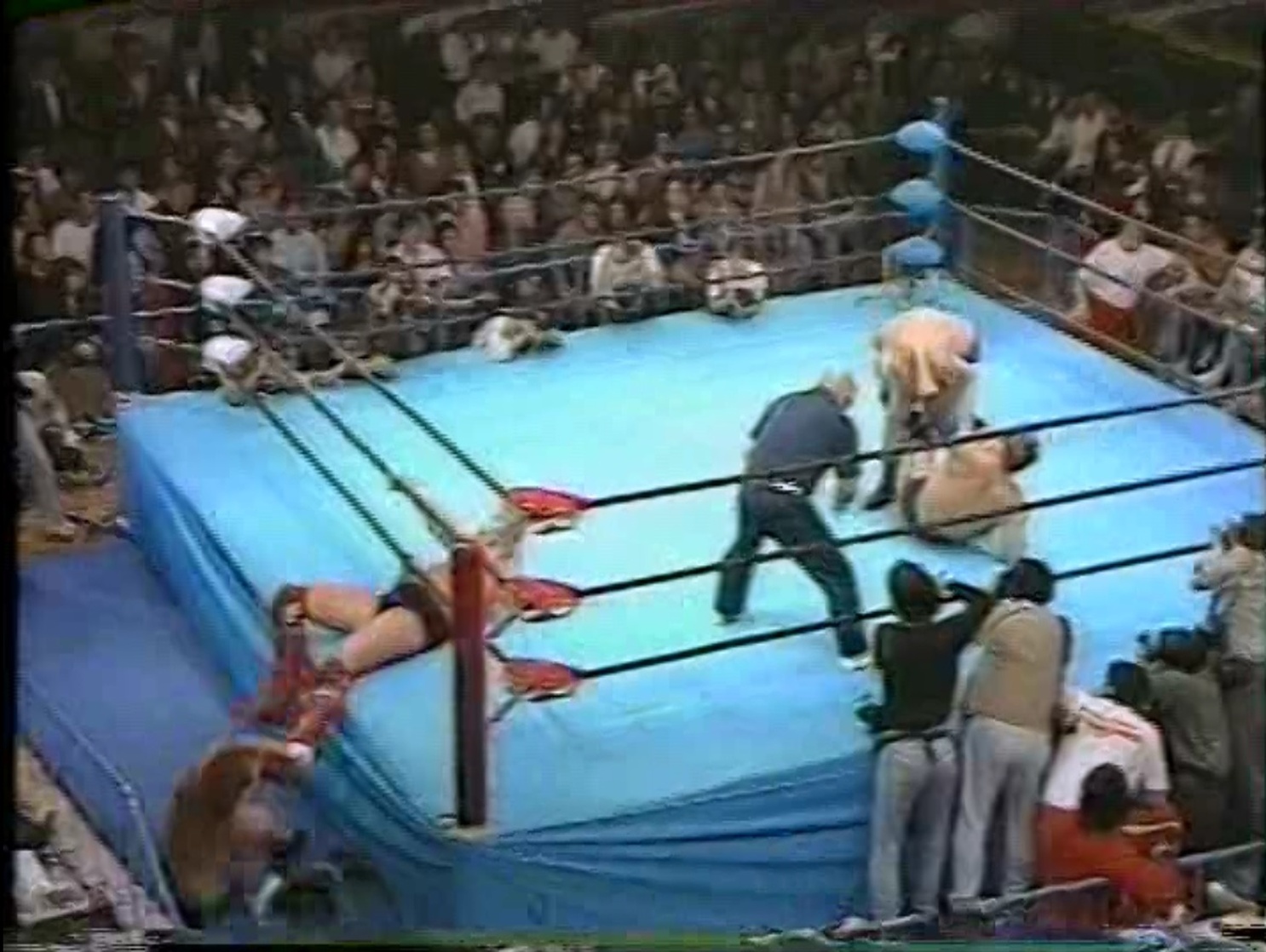 Picture of Dan Spivey & Stan Hansen vs. Dory Funk Jr. & Terry Funk ...