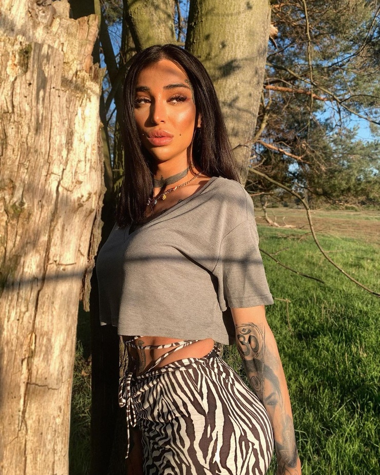 Picture of Alev Rules