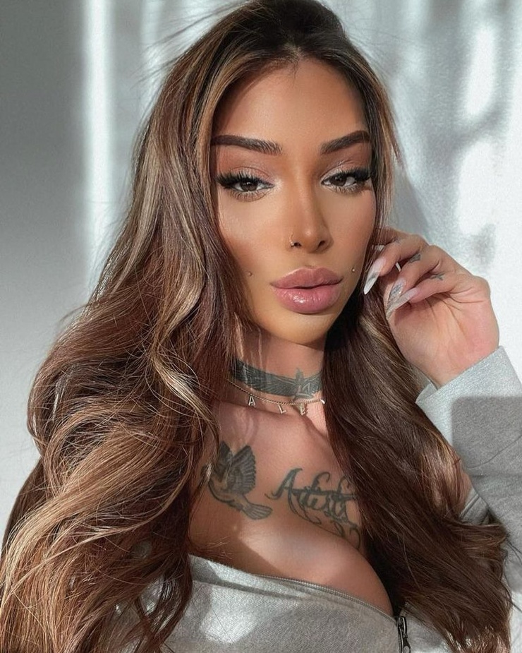 Picture of Alev Rules