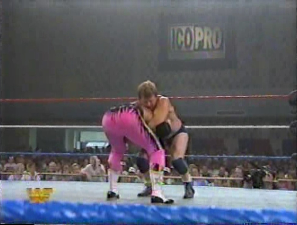 Picture of Bob Backlund vs. Bret Hart (1994/07/30)