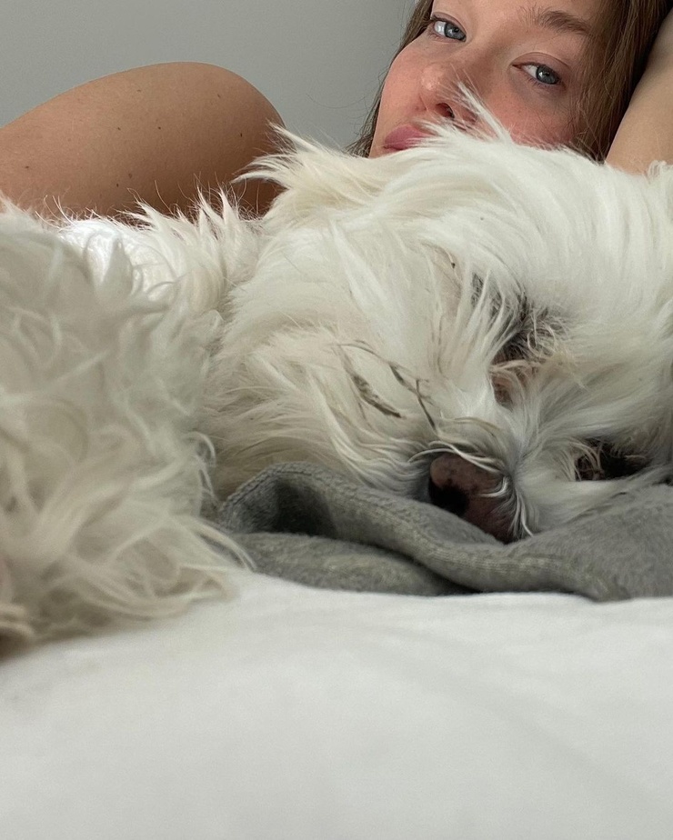 Picture of Pharis Willauer