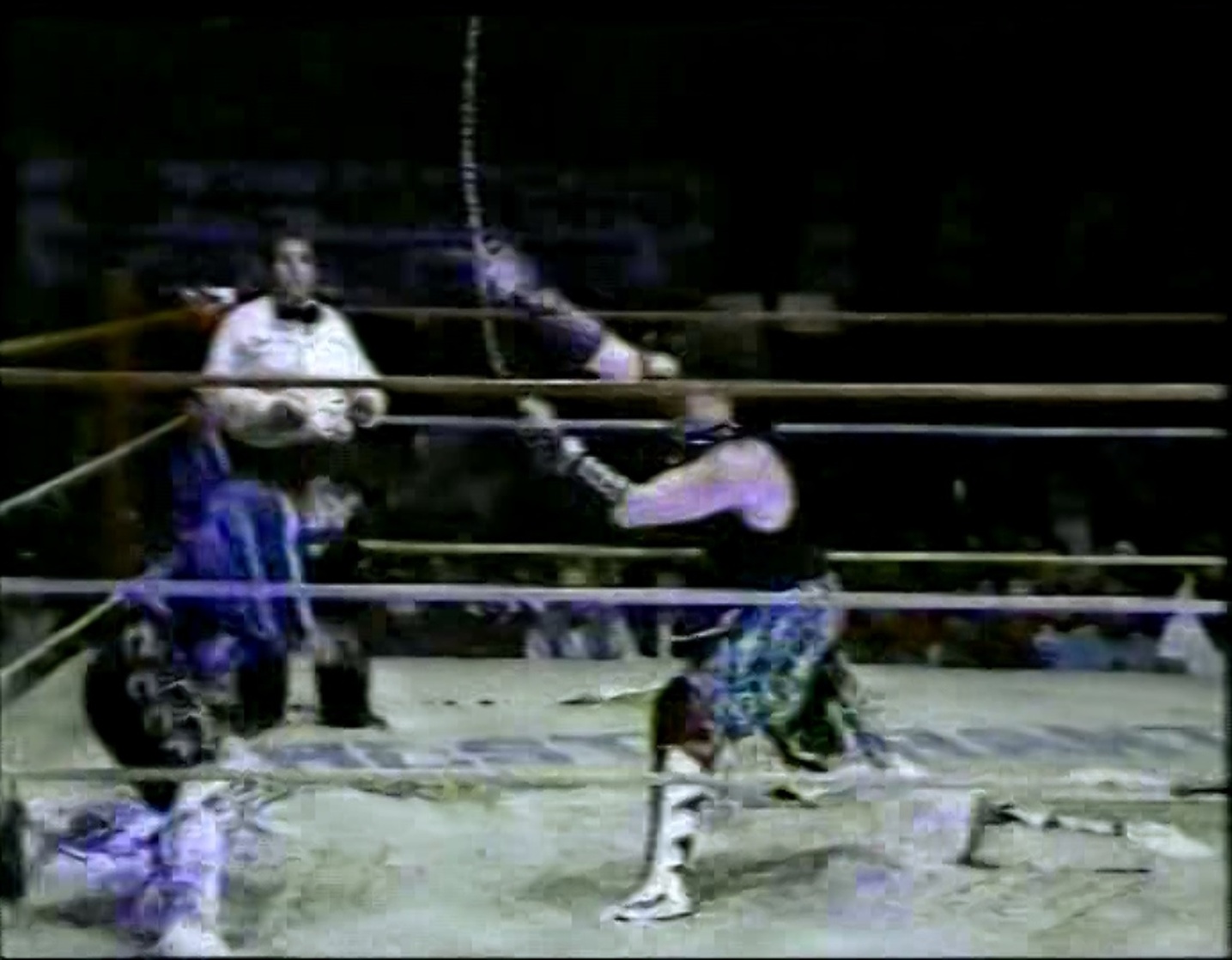 Picture of Jerry Estrada vs. La Fiera (1991)
