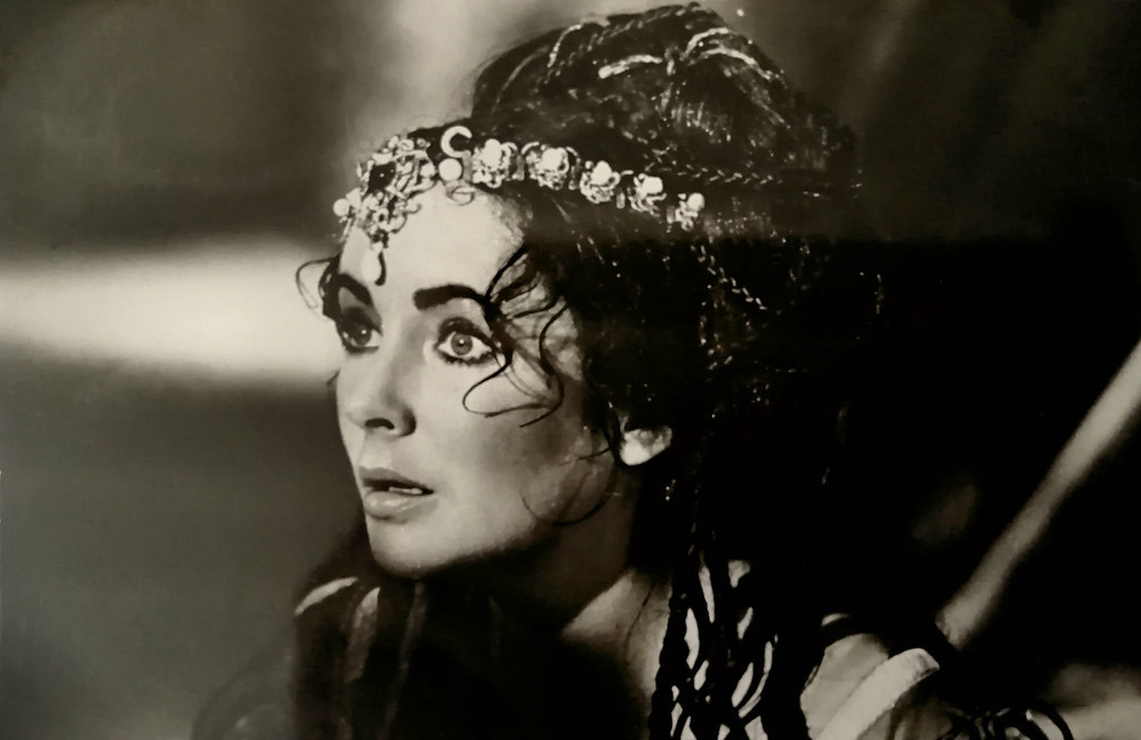 The Taming of the Shrew picture