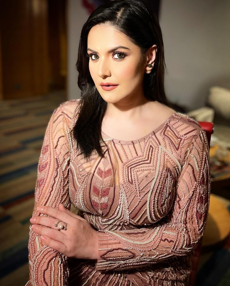 Zarine Khan picture