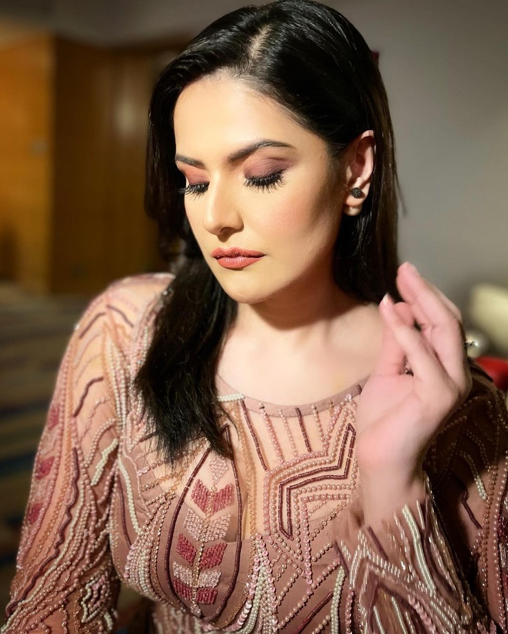 Picture of Zarine Khan