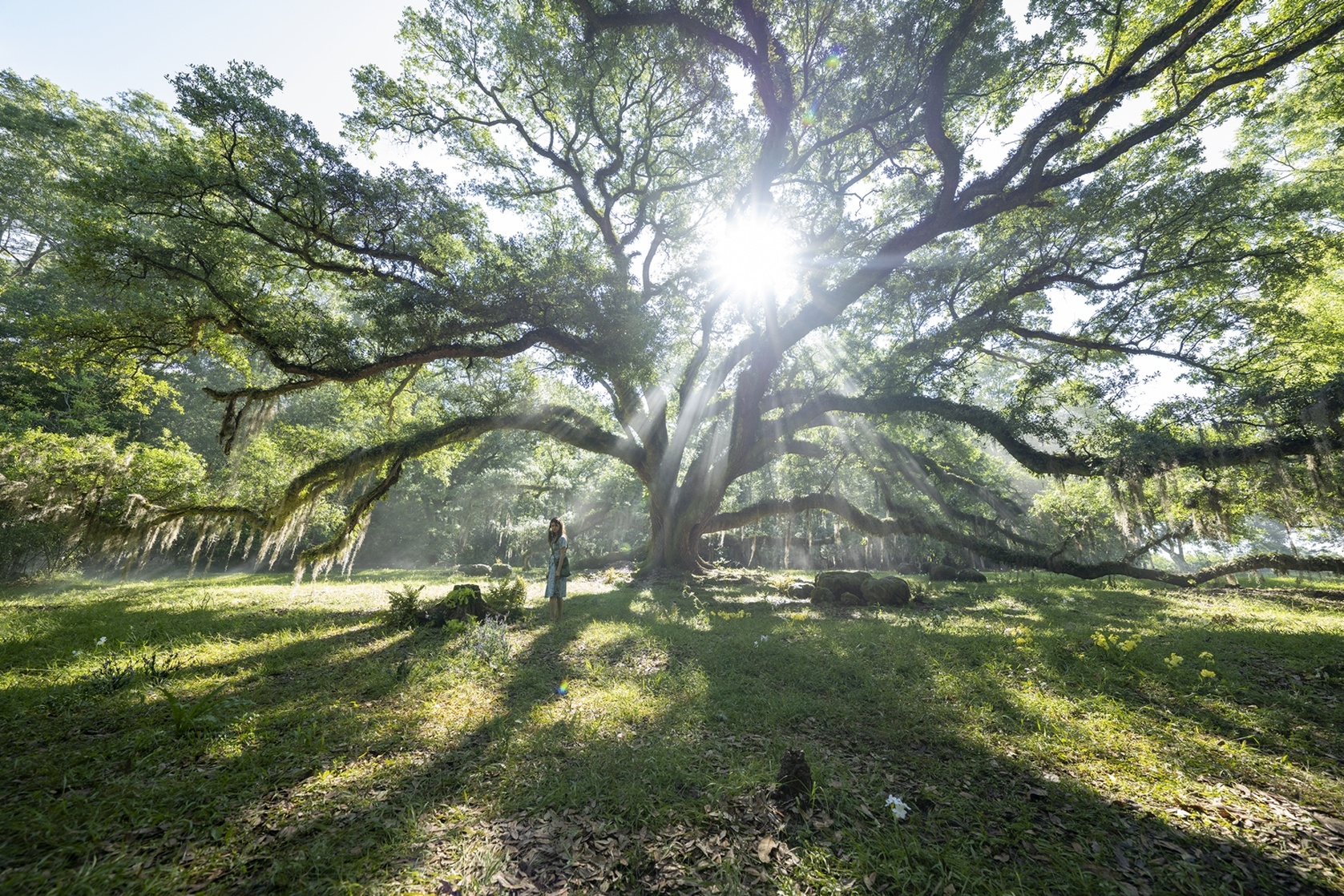 Where the Crawdads Sing