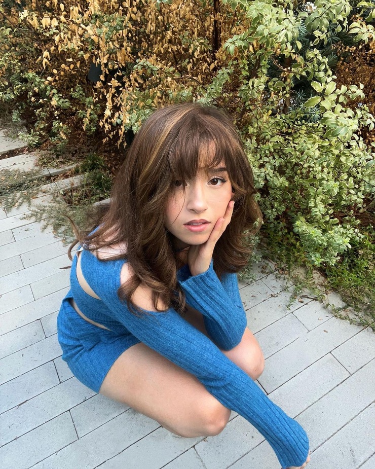 Pokimane picture