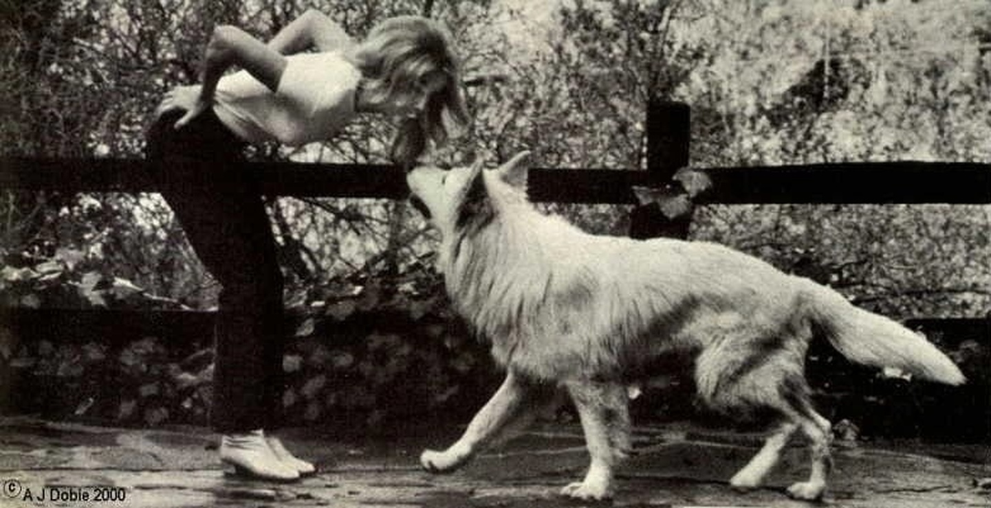 Image of Sharon Tate