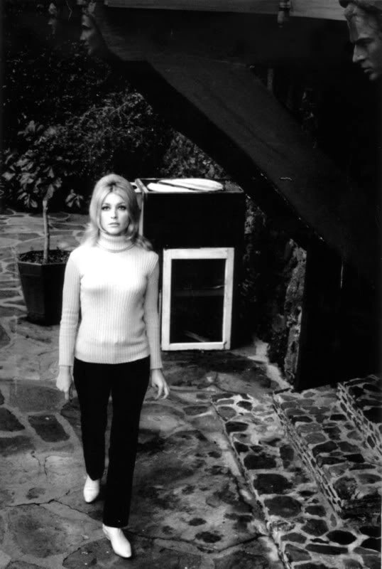 Picture of Sharon Tate