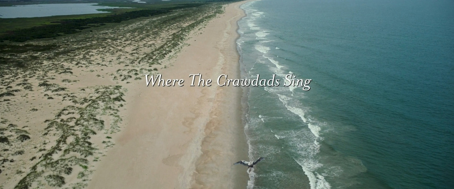 Where the Crawdads Sing