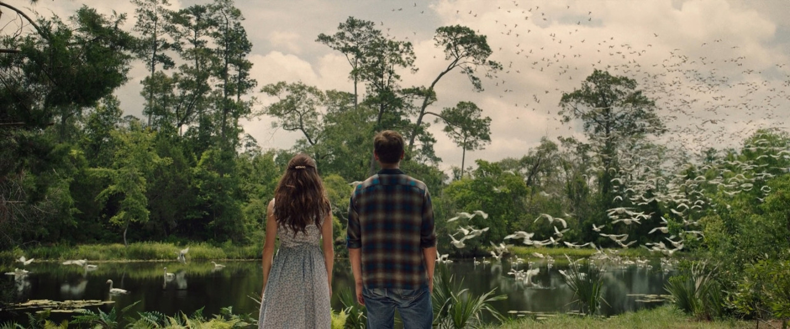 Where the Crawdads Sing