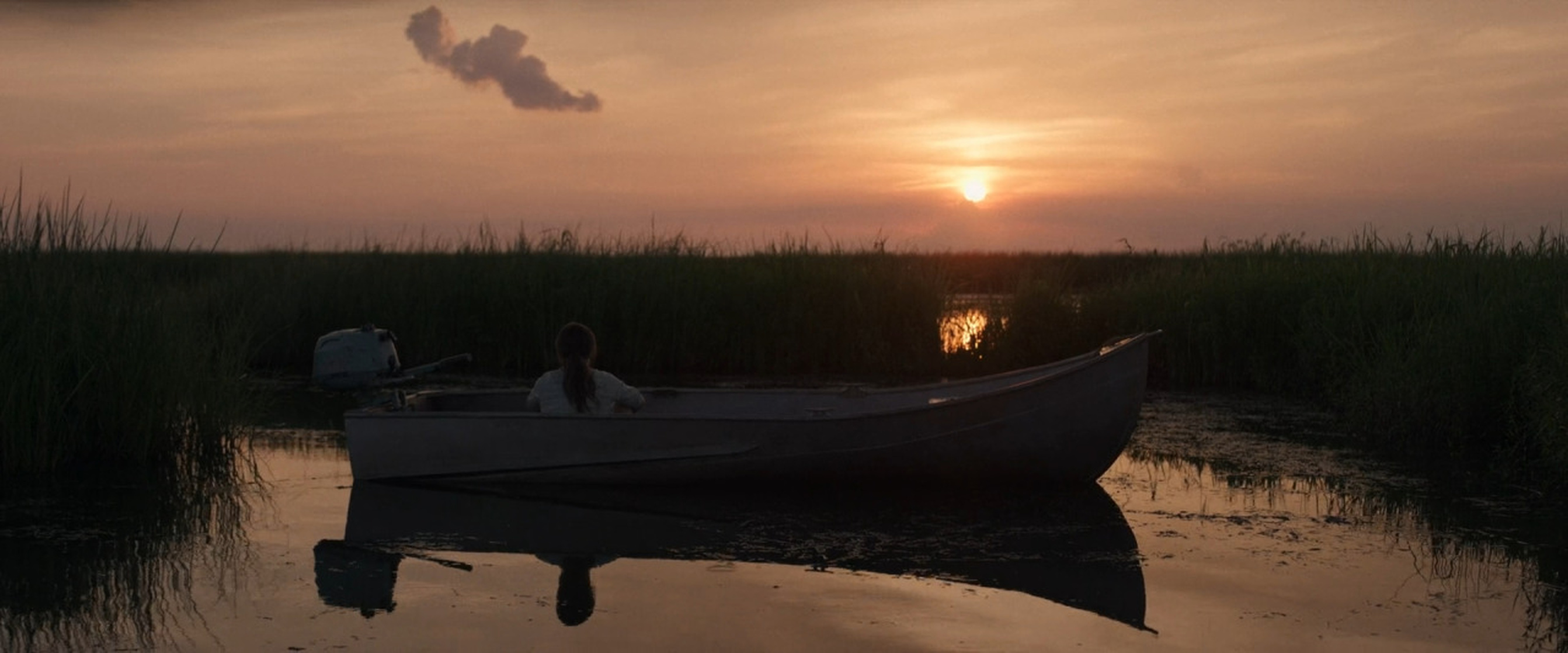 Where the Crawdads Sing