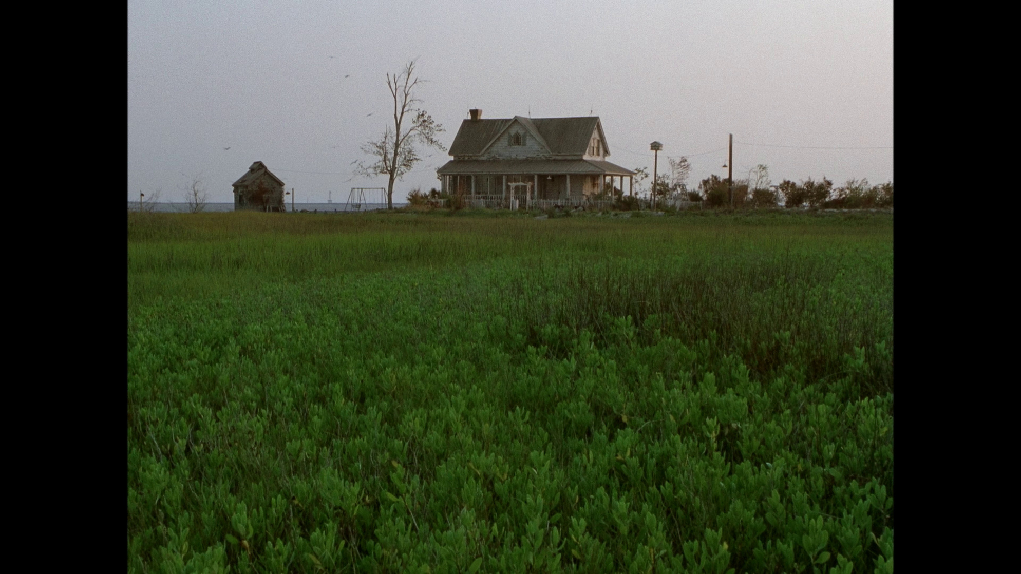 Picture of The Birds II: Land's End