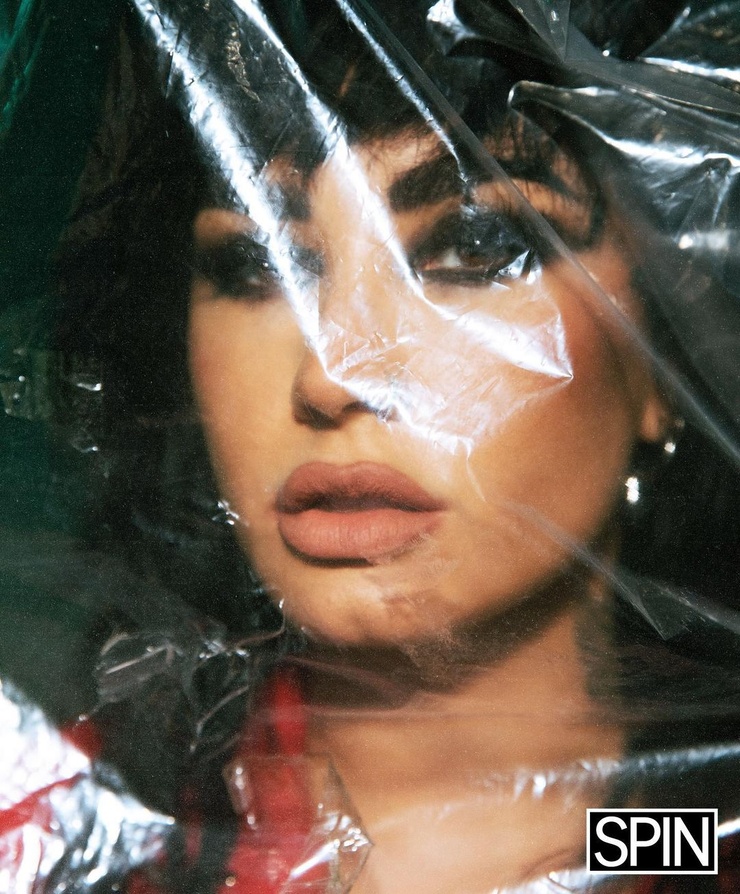 Picture of Demi Lovato