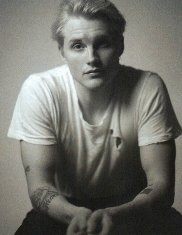 Toby Hemingway image