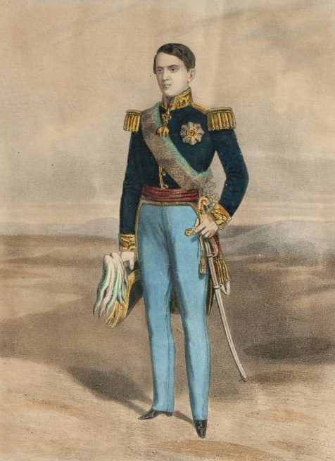 Picture of Pedro V de Portugal