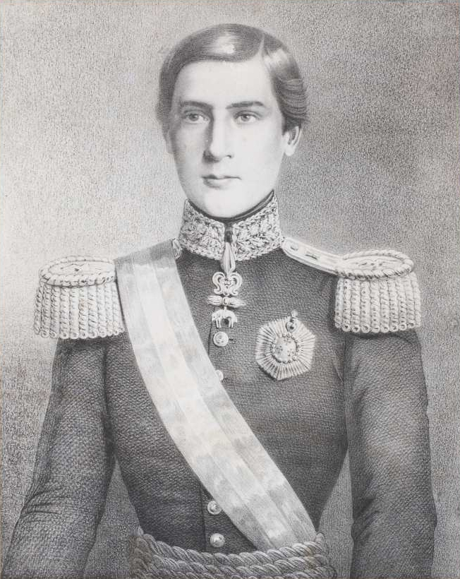 Pedro V de Portugal image