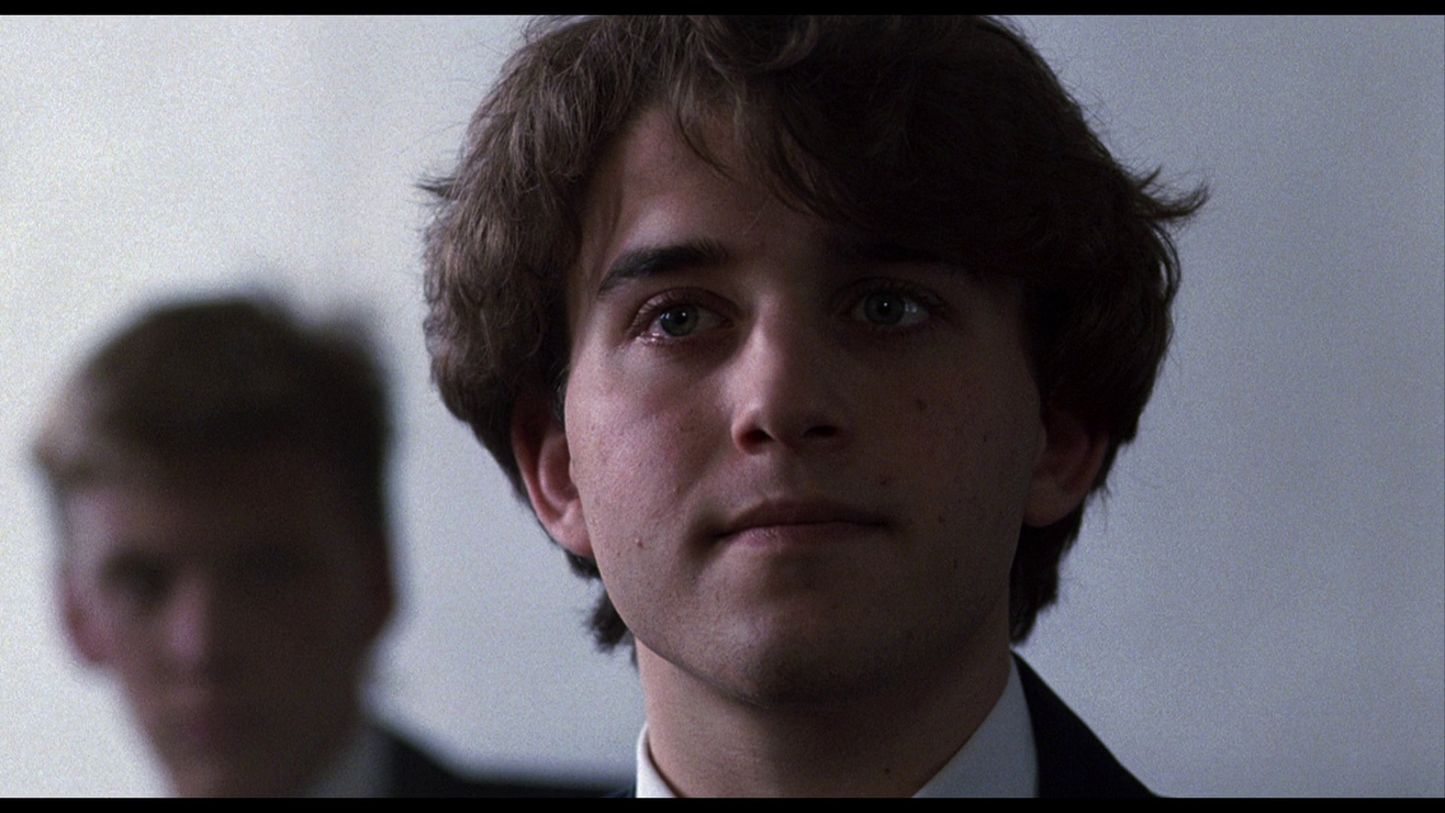 Picture of The Chocolate War