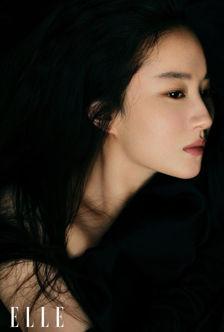 Yifei Liu picture