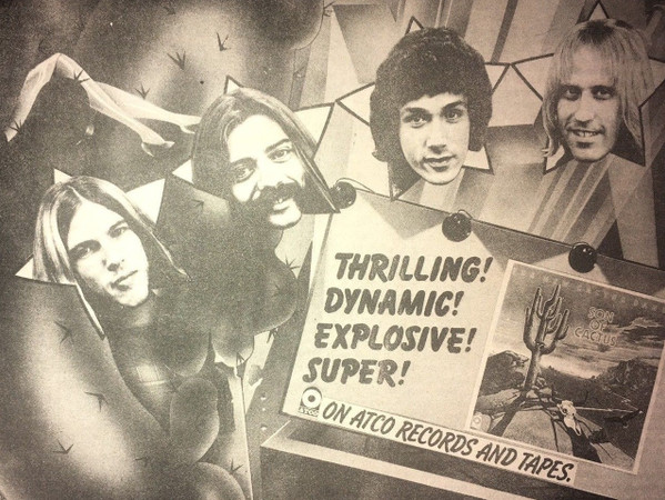 Picture of The New Cactus Band