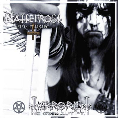 Nattefrost image