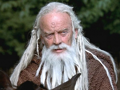 Image of The Mists of Avalon