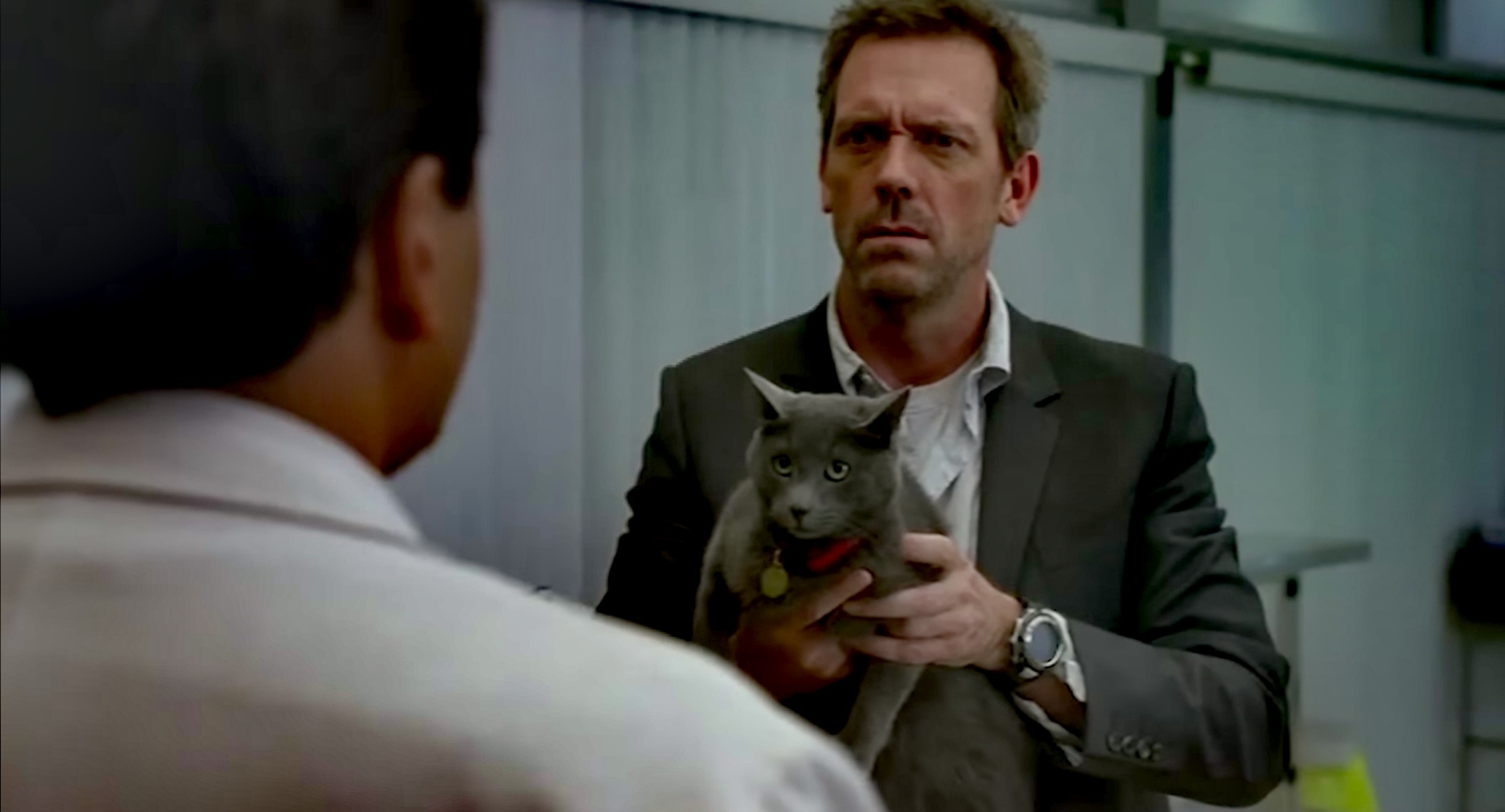 Picture of Here Kitty