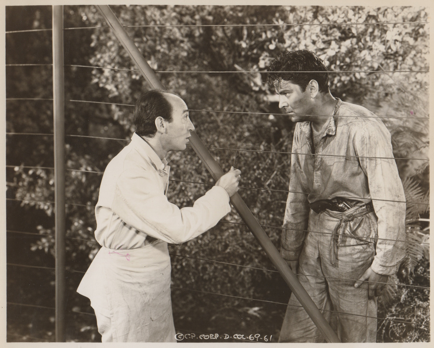 George E. Stone, Robert Wilcox