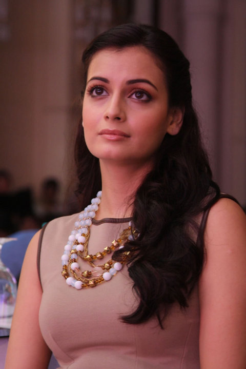 Picture of Diya Mirza